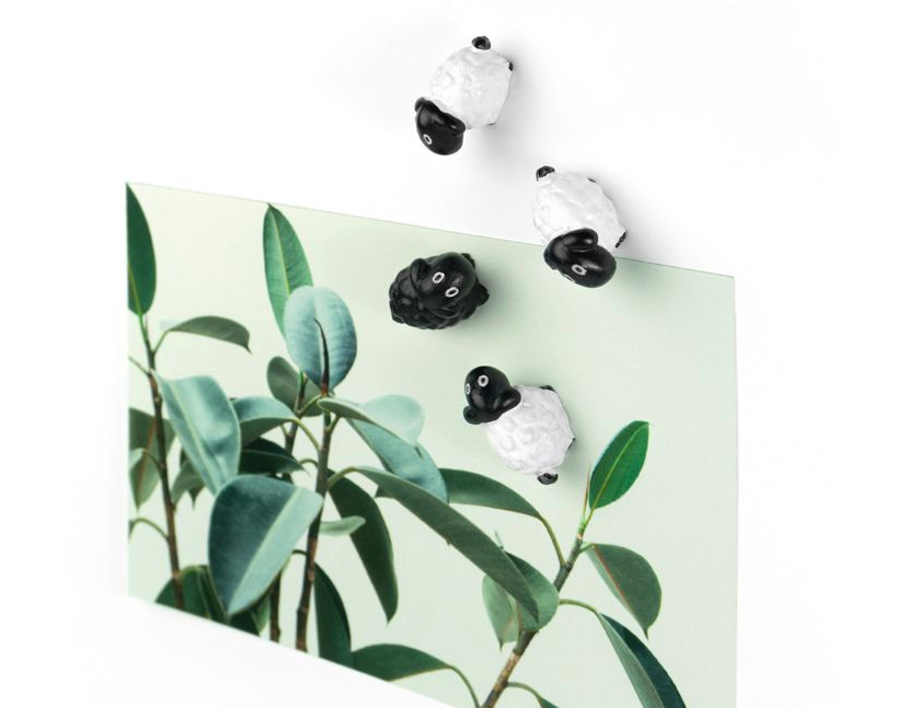 Handla starka magneter, kontorsmagneter och fotomagneter – Magnetz og ...